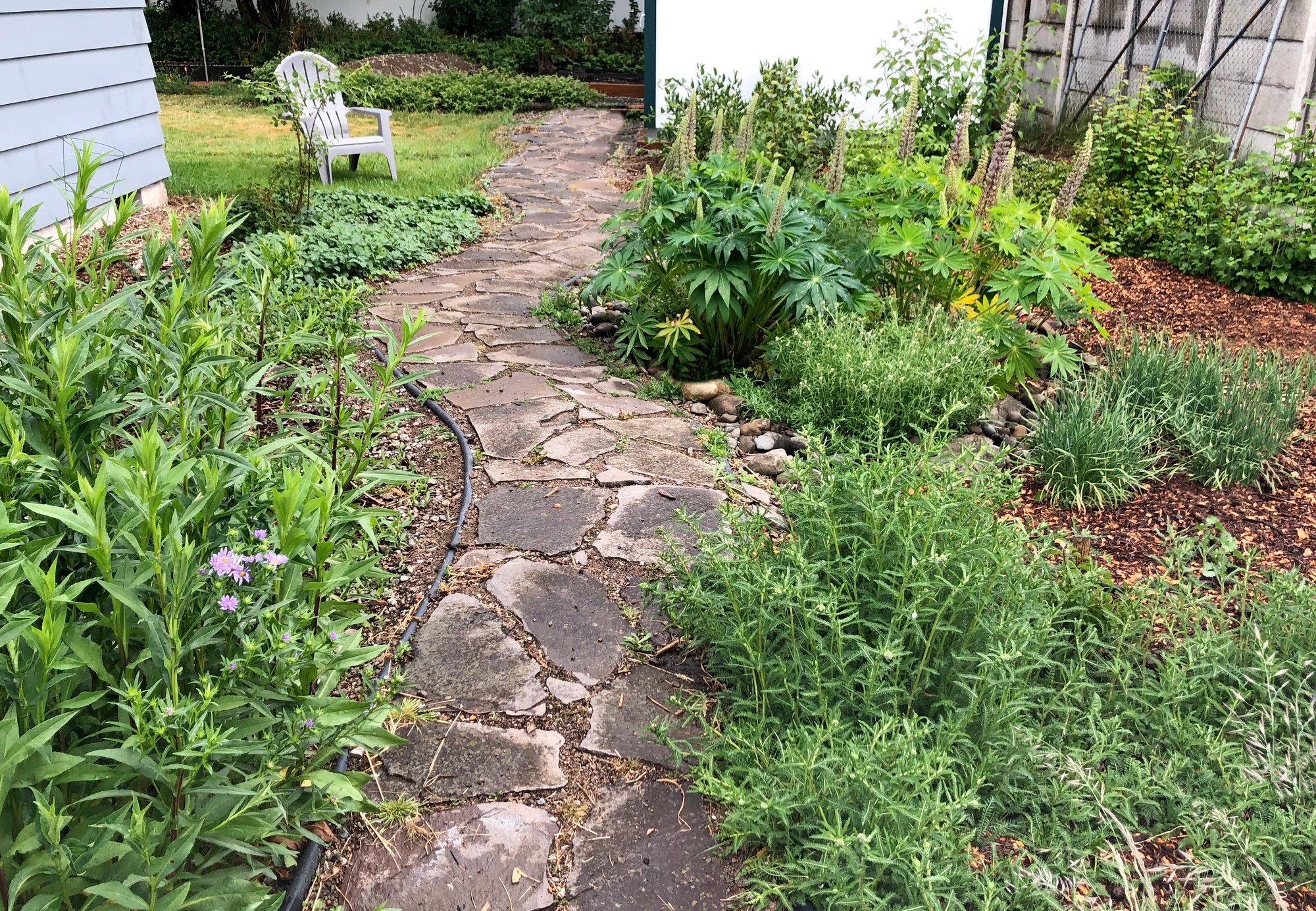 Spring Harvest | What Rhymes with Stanza?