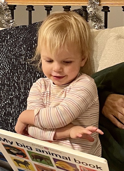 Violets (a triolet) | What Rhymes with Stanza?