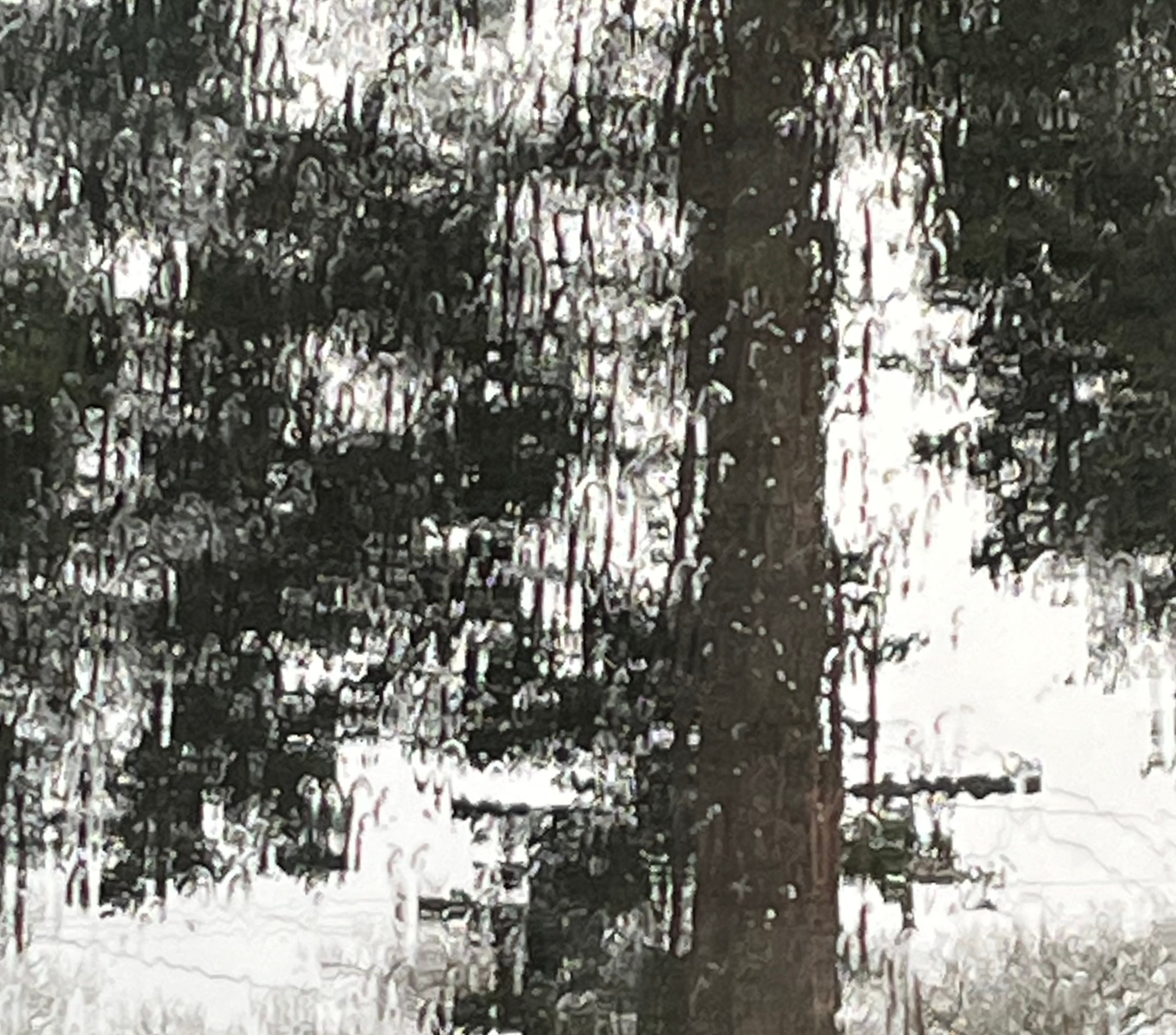 Horizontal Rain | What Rhymes with Stanza?