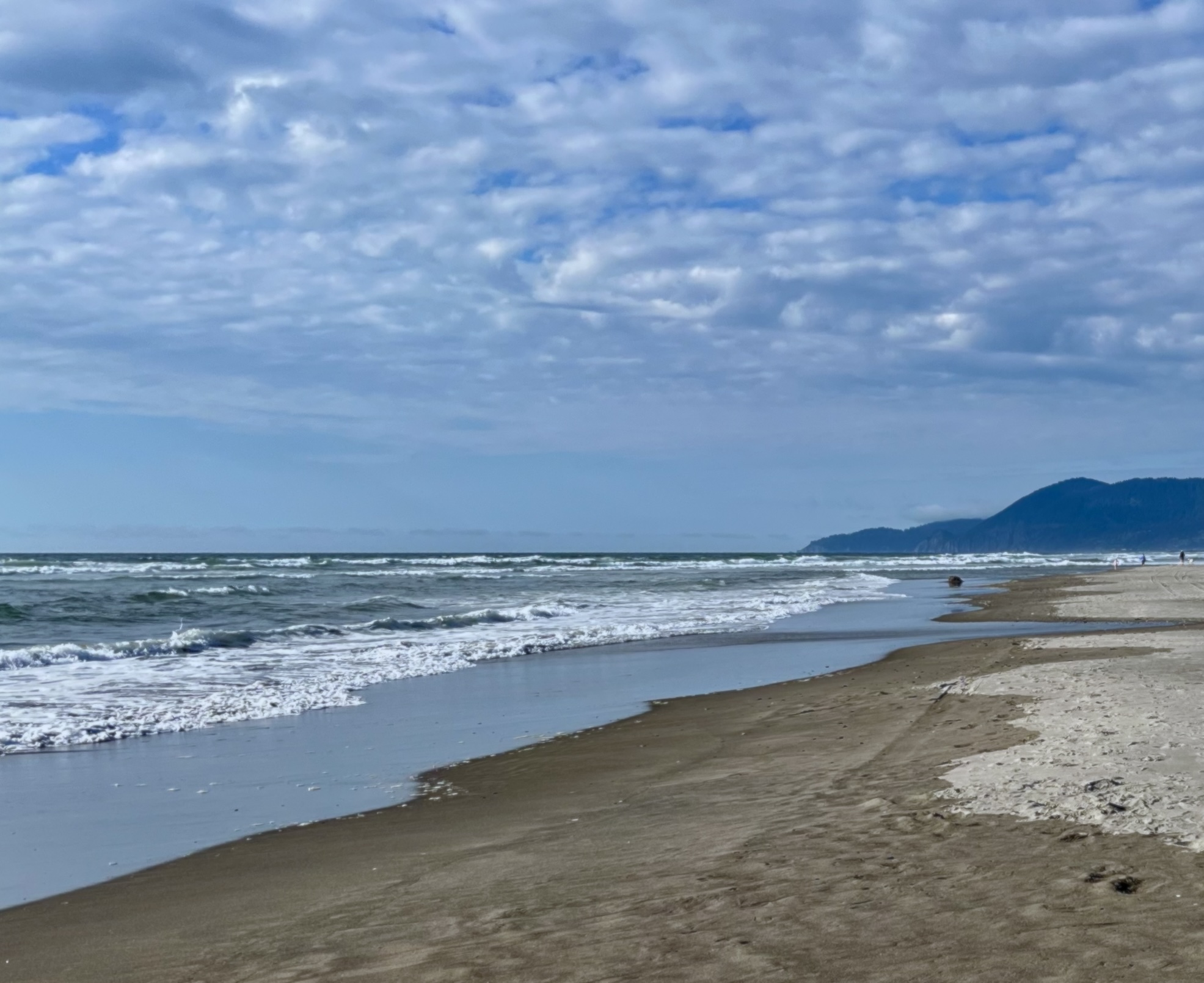 Control Issues ~ a villanelle | What Rhymes with Stanza?