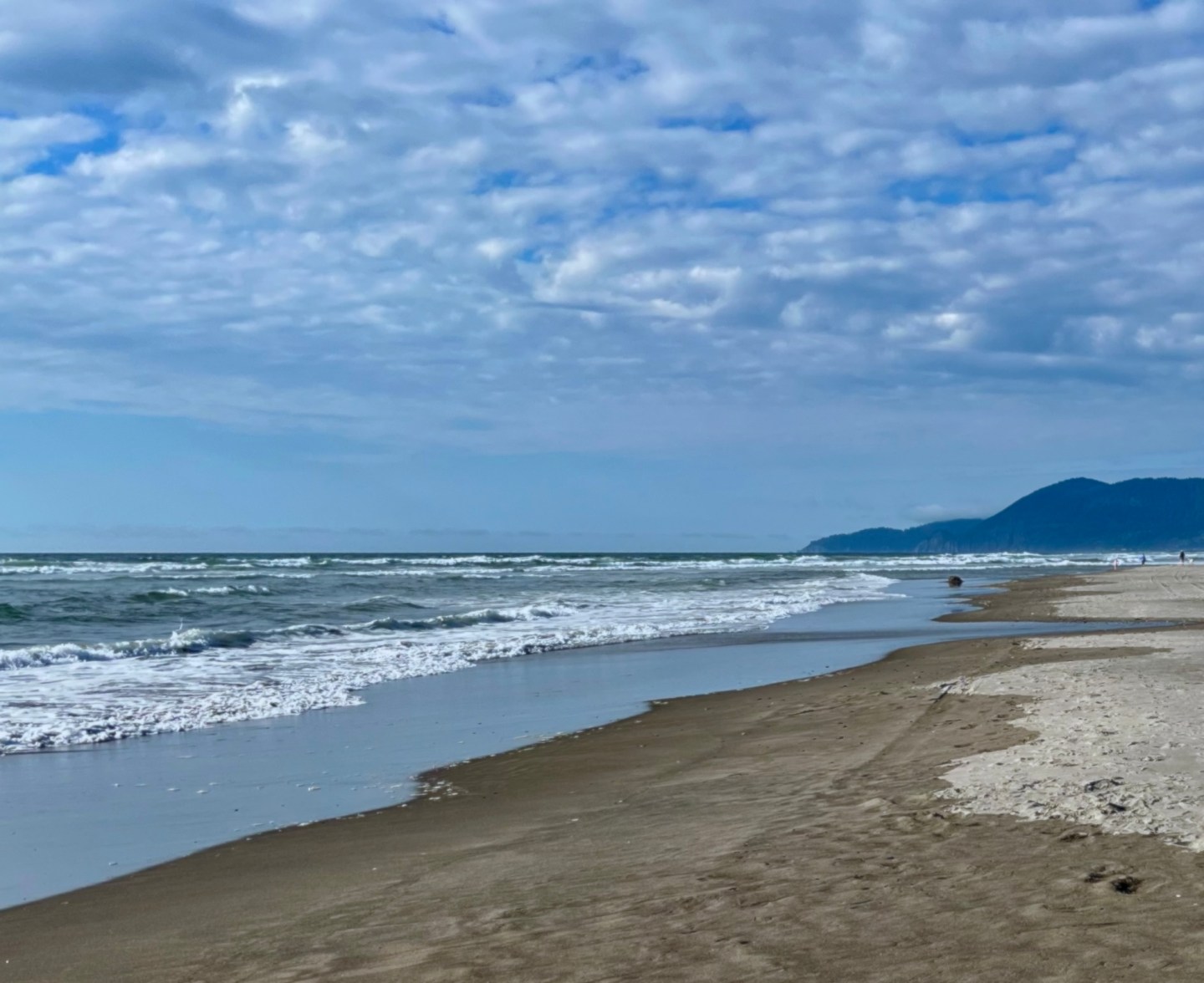 Control Issues ~ a villanelle | What Rhymes with Stanza?