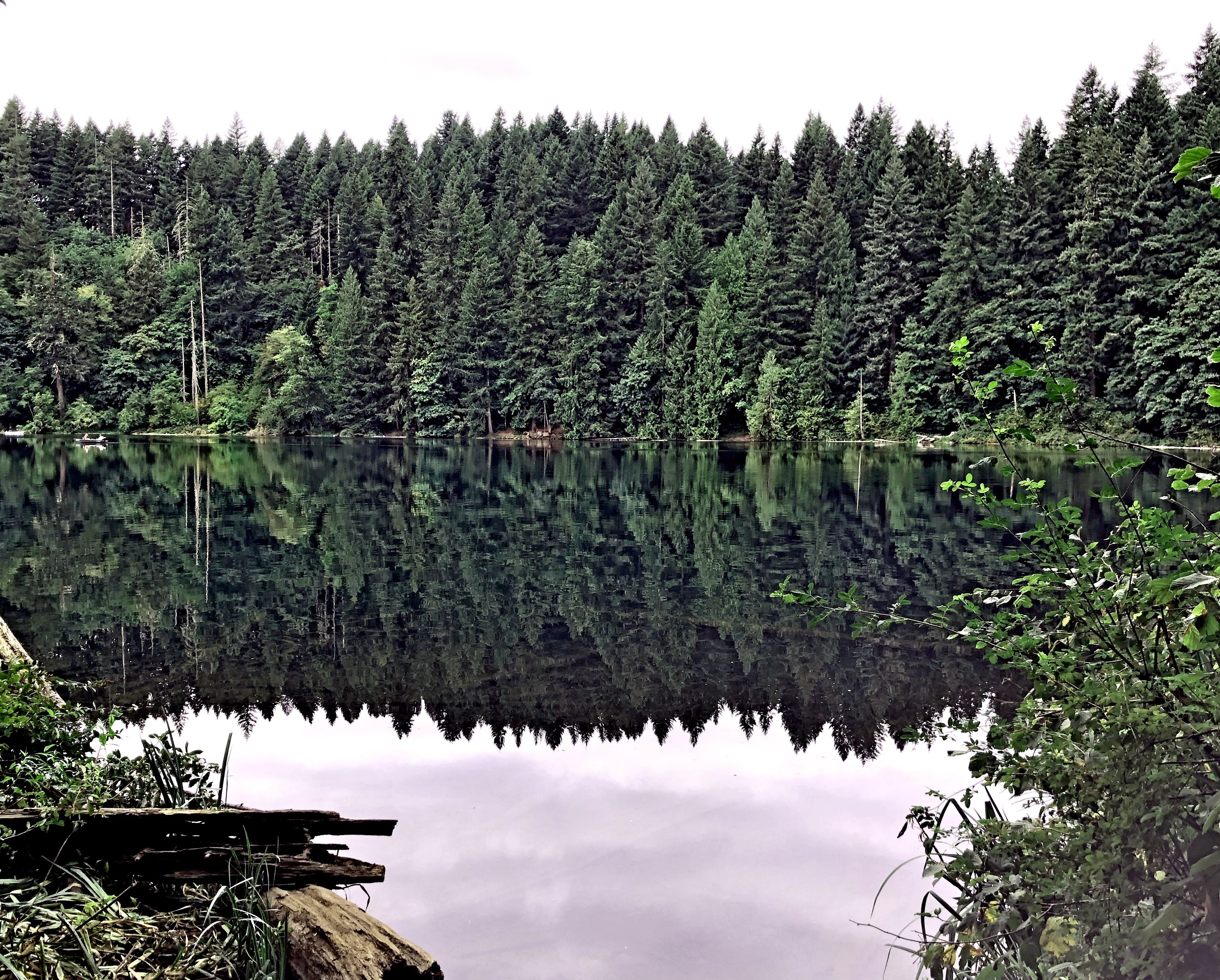 Earth Day 2026 | What Rhymes with Stanza?